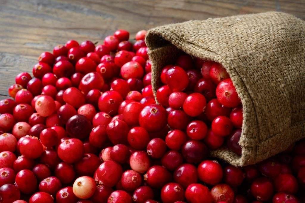 兰里堡蔓越莓节（Fort Langley Cranberry Festival）